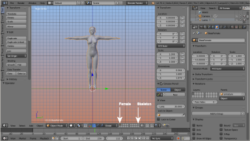 Fitted Mesh Kit | Avalab